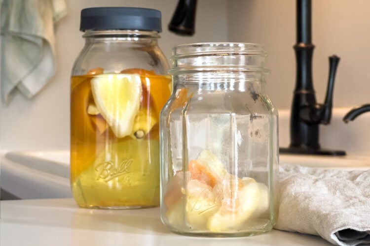 DIY Garbage Disposal Cleaner Pods | Every Purpose Home