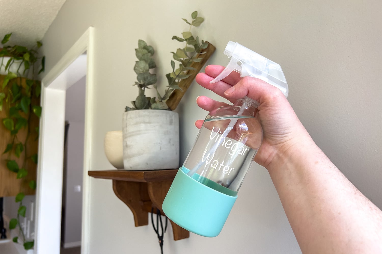 Homemade Vinegar Cleaning Spray | Every Purpose Home