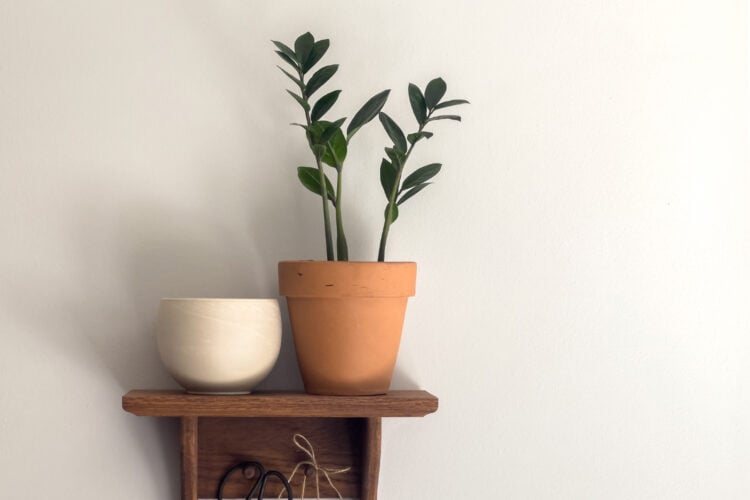 7 Subtle Fall Decor Ideas | Every Purpose Home