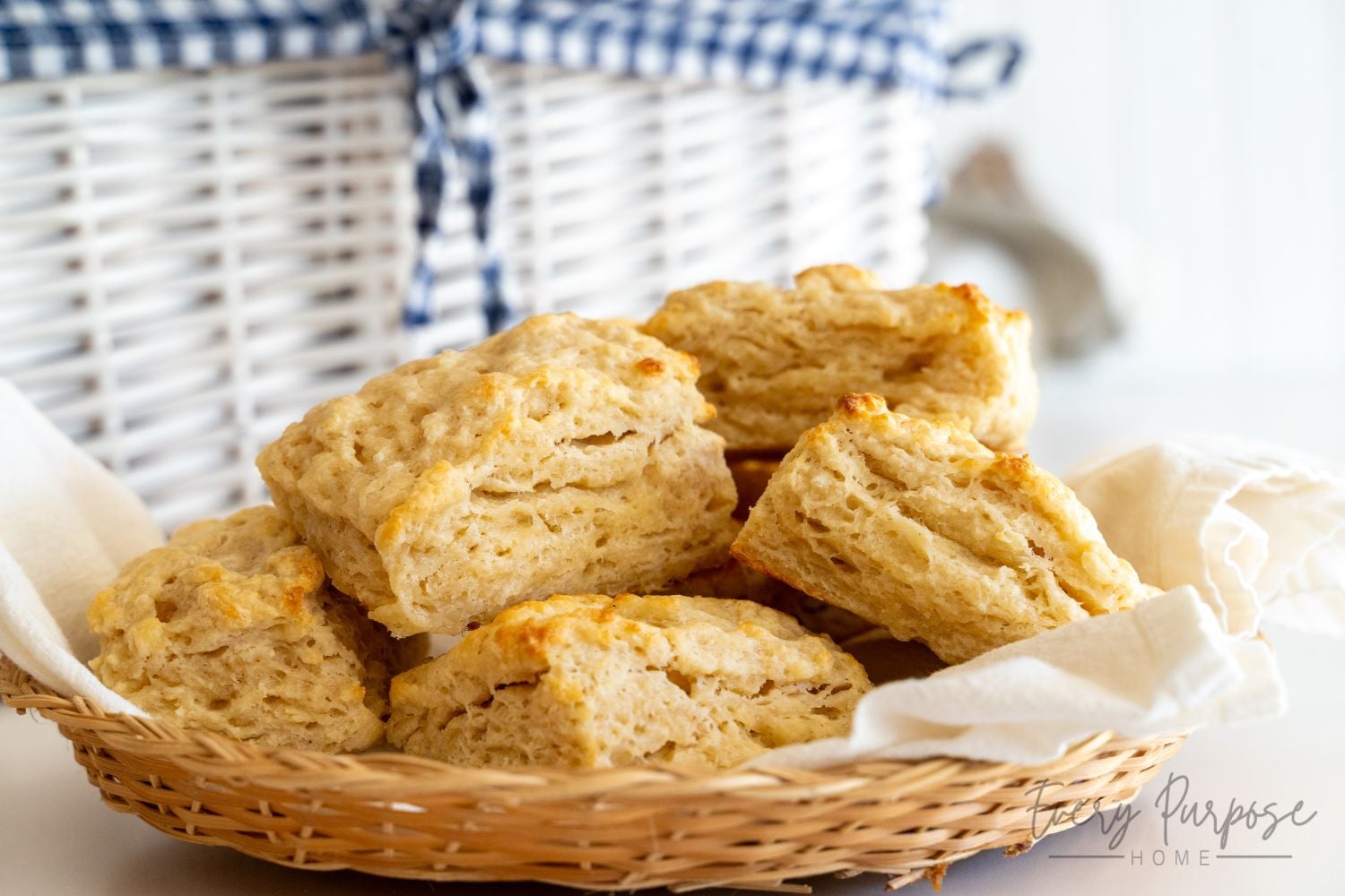 Protein Biscuits (No Protein Powder!) | Every Purpose Home